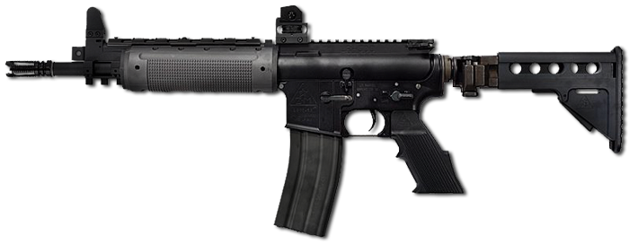 Автомат | Штурмовая Винтовка Z-M Weapons "LR-300" | Para USA "TTR" » Оружие